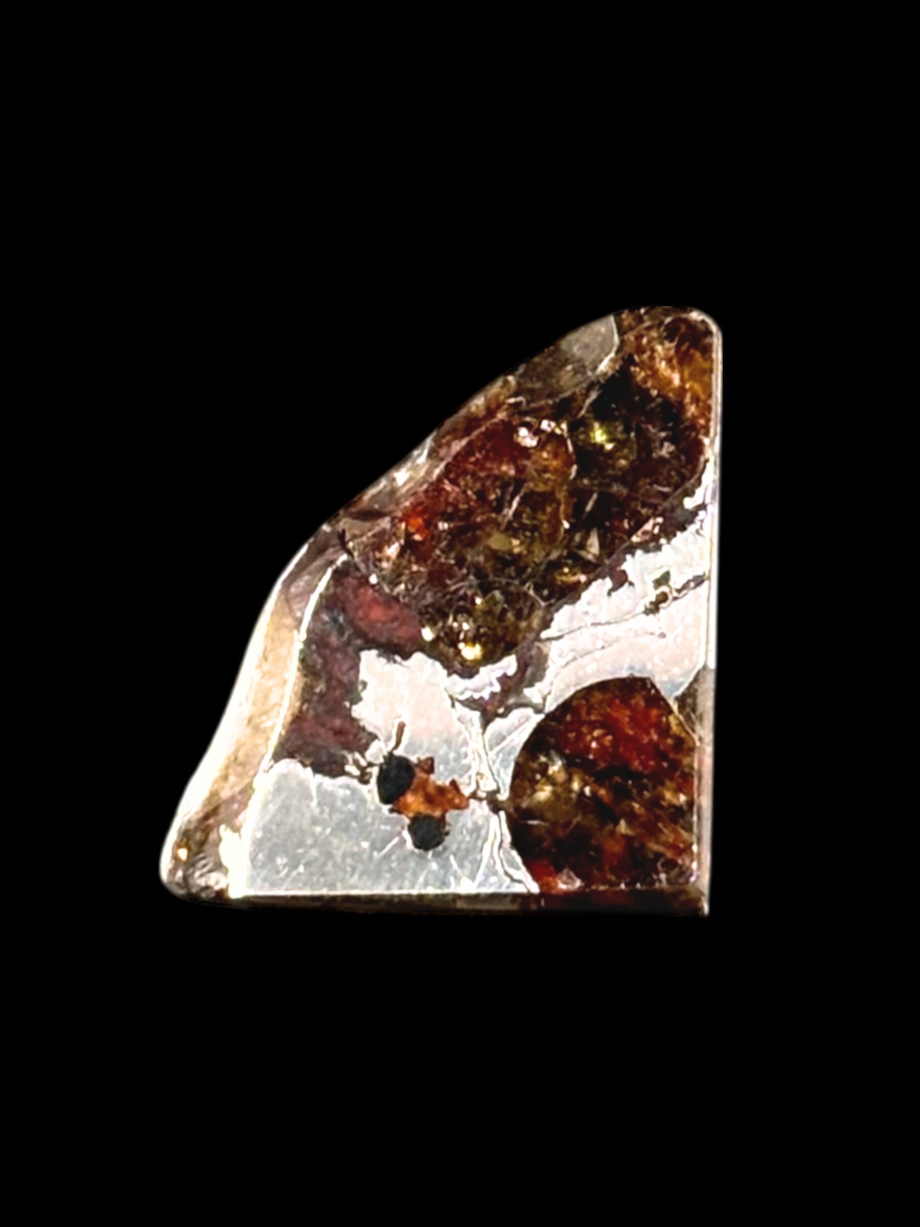 Meteorito Brahin – Minerales y Meteoritos